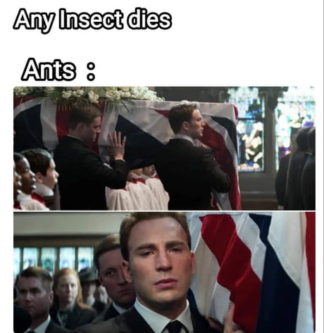 Best Funny ant Memes - 9GAG