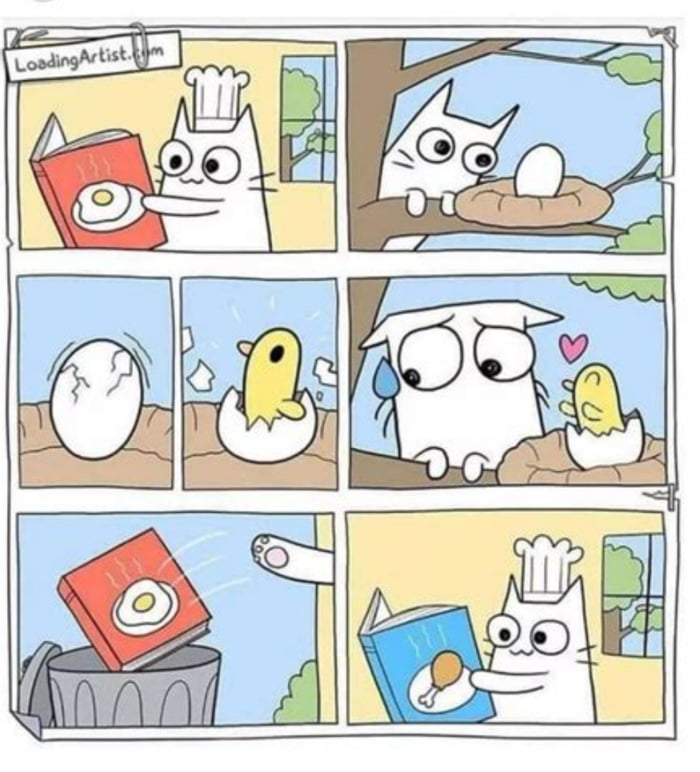 Sometimes you have to adapt - 9GAG