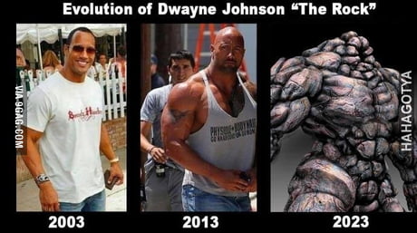Das Rock Evolution Meme