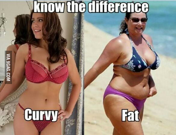 You're not curvy, you're fat. - 9GAG