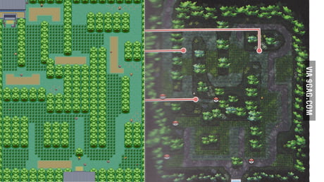 Viridian Forest Anime