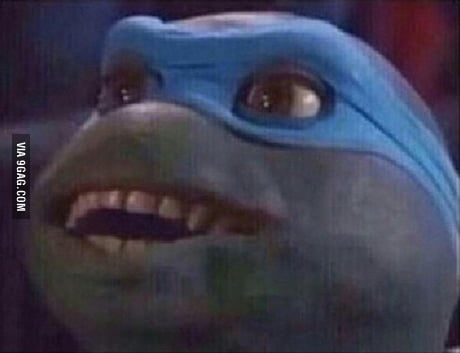 High Ninja Turtle Memes Why Did They Sound Like Them? #tmnt