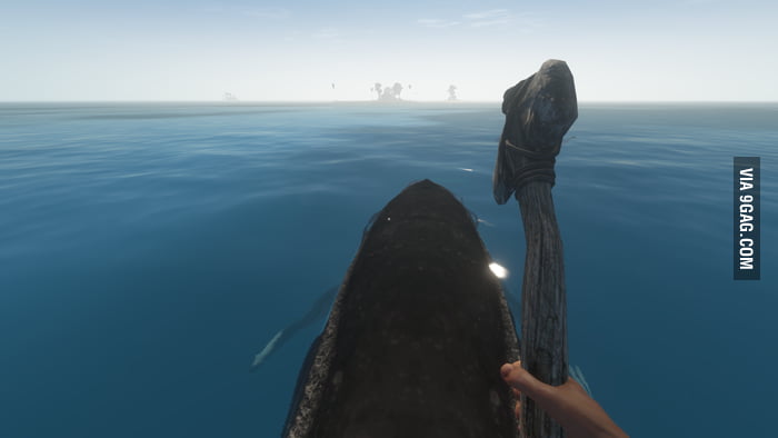 That moment you became Aquaman for riding a sea creature.. (humb back ...