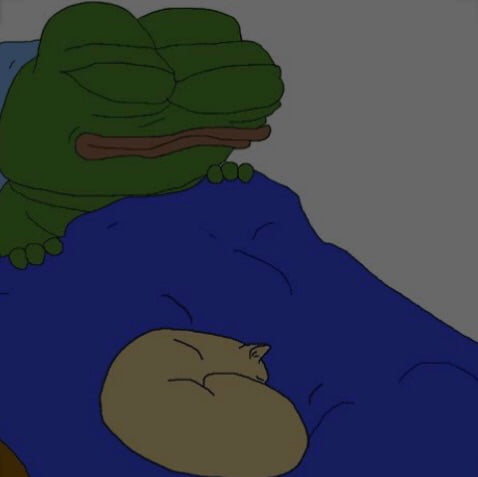 Sleeping Pepe says “Get some rest, you don’t need to upvote anymore ...