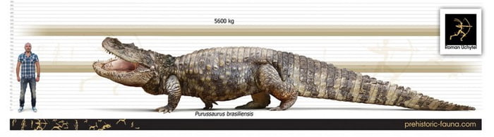 Purussaurus compared to a human - 9GAG