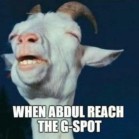 Islam Goat Memes