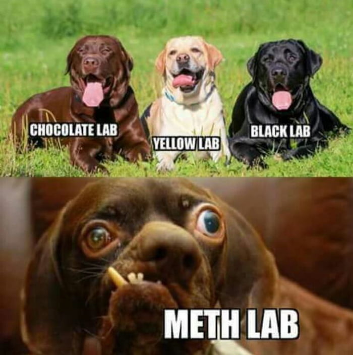 I think I'd adopt the meth lab - 9GAG