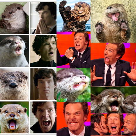 Best Funny benedict cumberbatch Memes - 9GAG