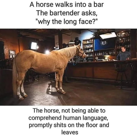 Best Funny bar Memes - 9GAG