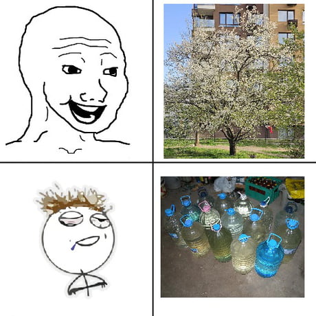 Memes Gullah Moonshine Best Moonshine Meme | TikTok