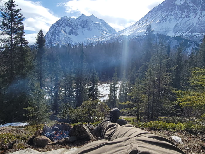 We still doing nature to get rid of bots? - 9GAG