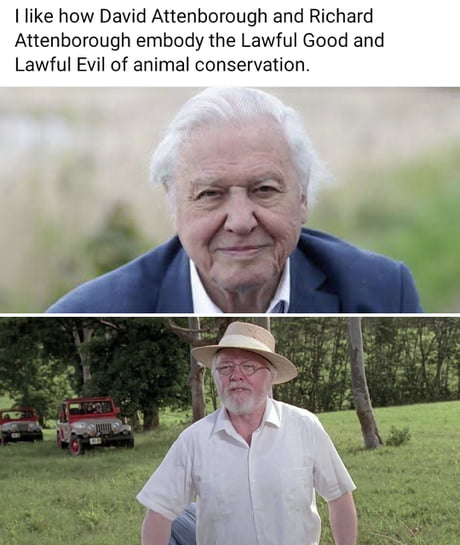 Attenborough Memes