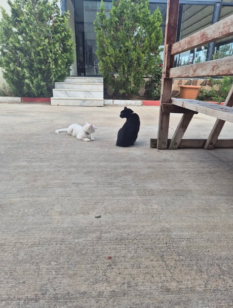 Best Funny opposites attract Memes - 9GAG