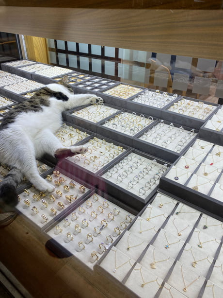 Best Funny istanbul Memes - 9GAG