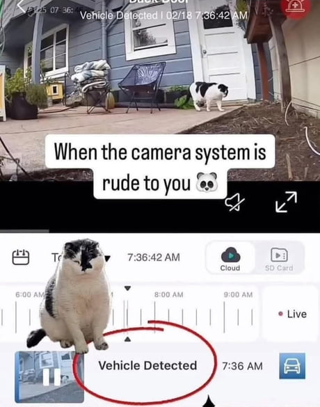Best Funny camera Memes - 9GAG