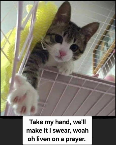 Best Funny hand Memes - 9GAG