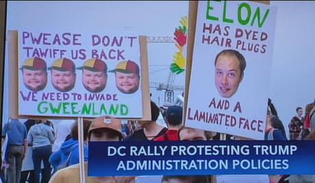 Best Funny muskrat Memes - 9GAG