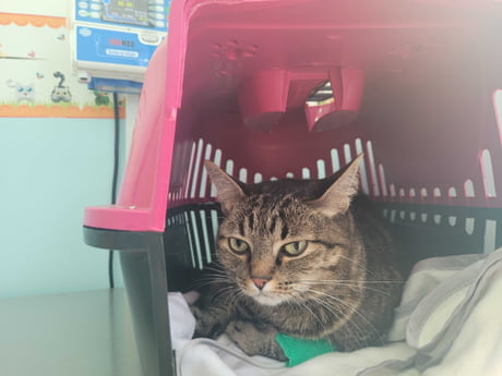 Best Funny pss Memes - 9GAG