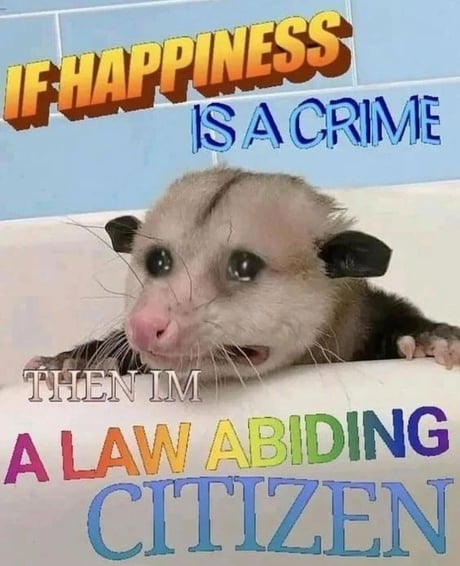 Best Funny possum Memes - 9GAG