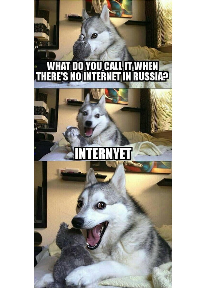 Why are huskies bad at dad jokes? - 9GAG