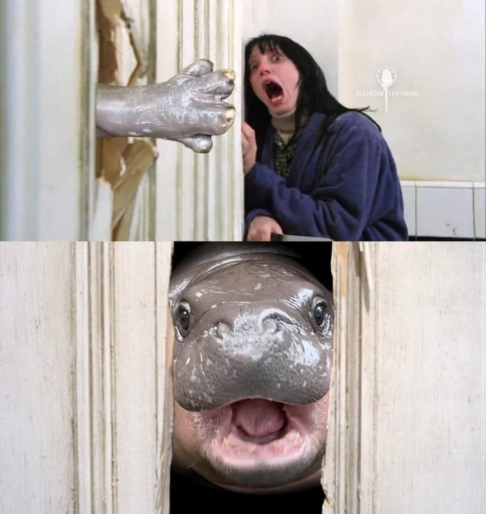 Let me in - 9GAG