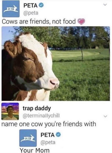 Best Funny peta Memes - 9GAG