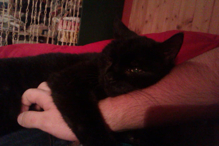 Here is my 'little' void. It's been already couple of years since he passed away, but today I ...