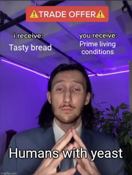 Best Funny bread Memes - 9GAG