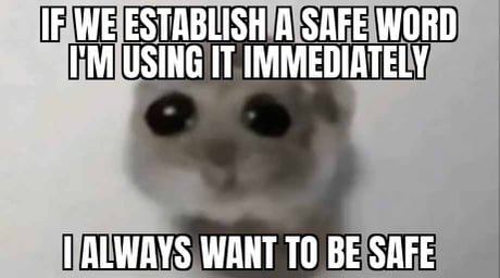 Safe Word Memes