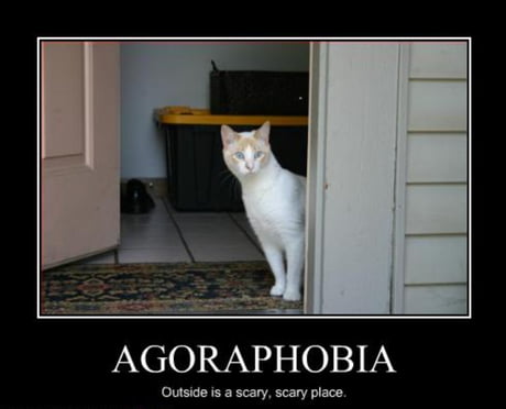 Best Funny agoraphobia Memes - 9GAG