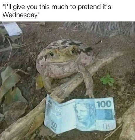 Best Funny toad Memes - 9GAG