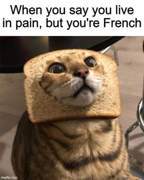Best Funny french Memes - 9GAG