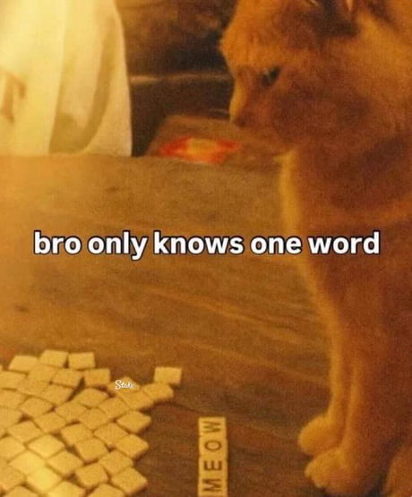 Best Funny word Memes - 9GAG
