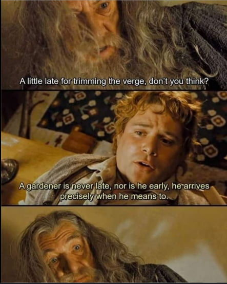 Best Funny samwise gamgee Memes - 9GAG