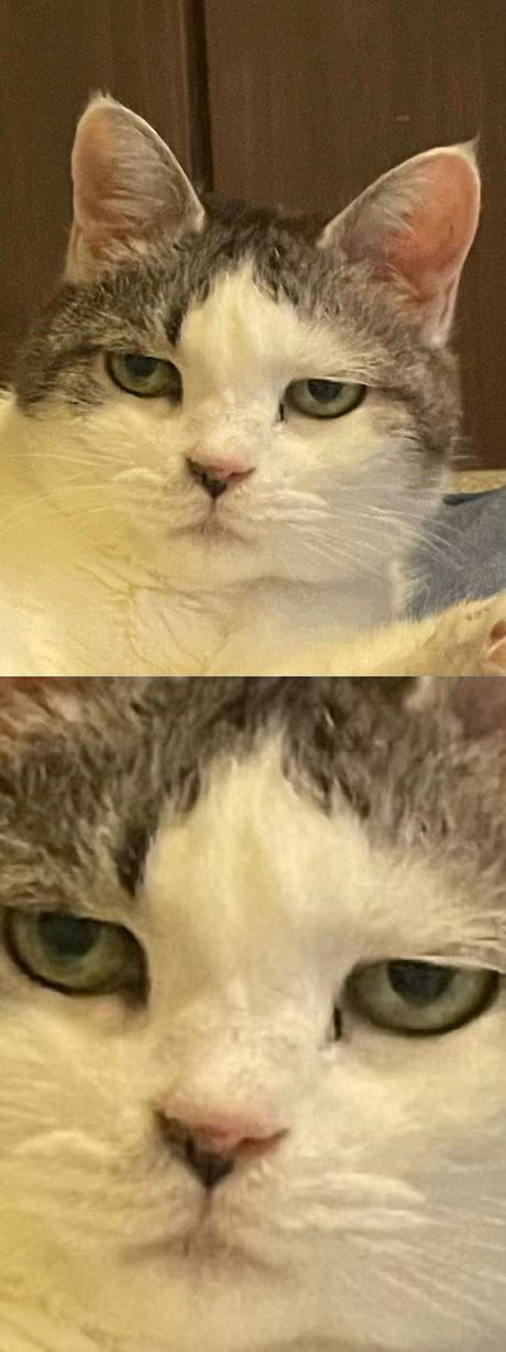 Best Funny judgement Memes - 9GAG