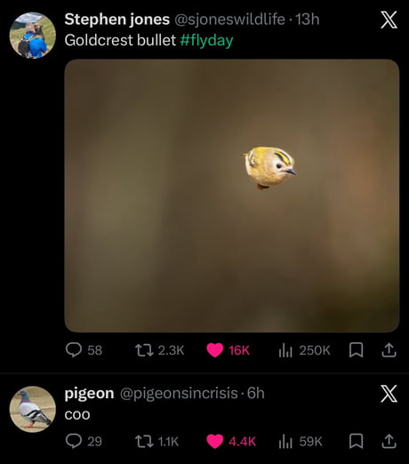 Best Funny bullet Memes - 9GAG