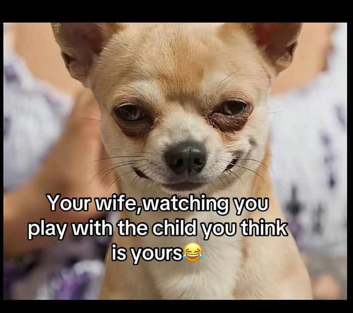 When your dog's face says it all - 9GAG