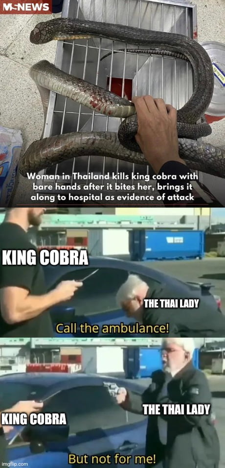 King Cobra Orlando Memes