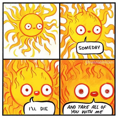 Memes De Suntea Sun Tea Style Herbal Tisanes For Flavorful Hydration