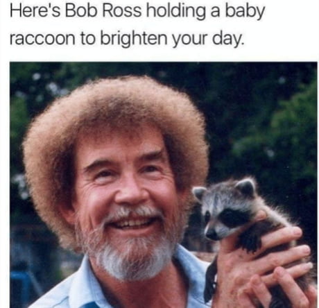 Brighten Your Day Meme