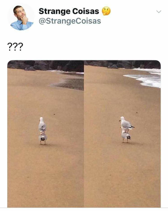 Is It Possible 9GAG