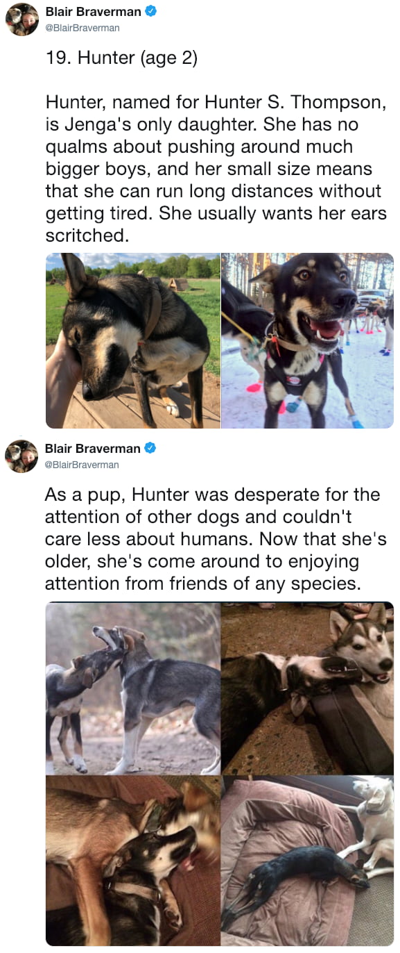 Musher Introduces Her 20 Sled Dogs With Colorful Personalities - 9GAG