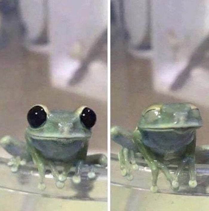 Smiley froggo - 9GAG