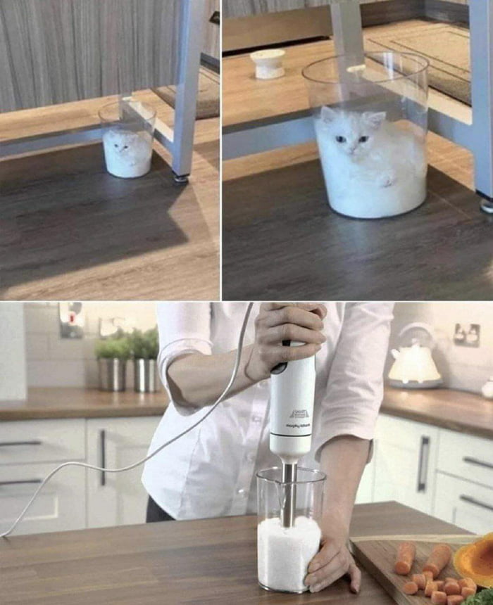 Meow shake - 9GAG