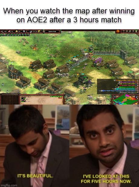 Aoe 2 memes - streetsany