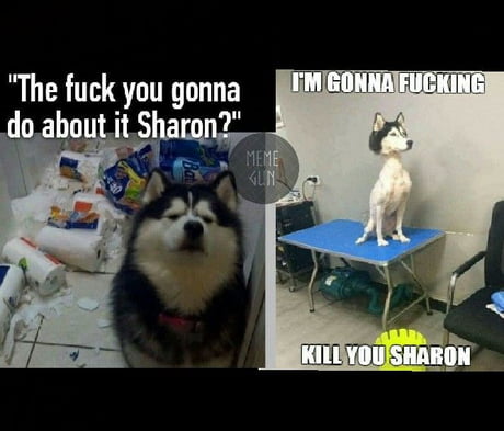 What The Fuck You Gonna Do Sharon Meme Hotsell | zkzl.poznan.pl