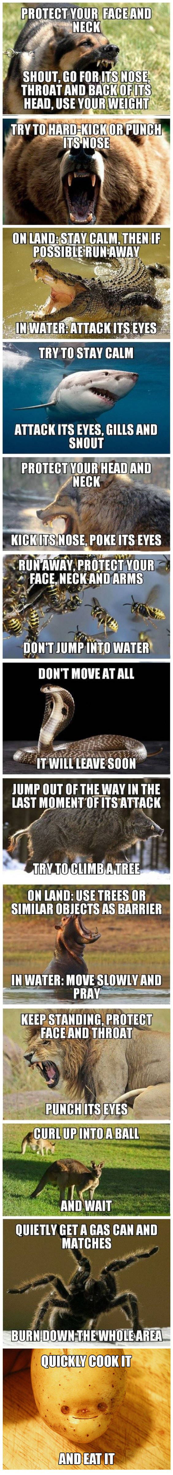 Tips on how to react to few situations - 9GAG