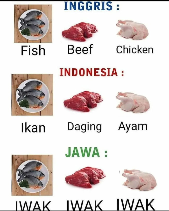Iwak peyek - 9GAG