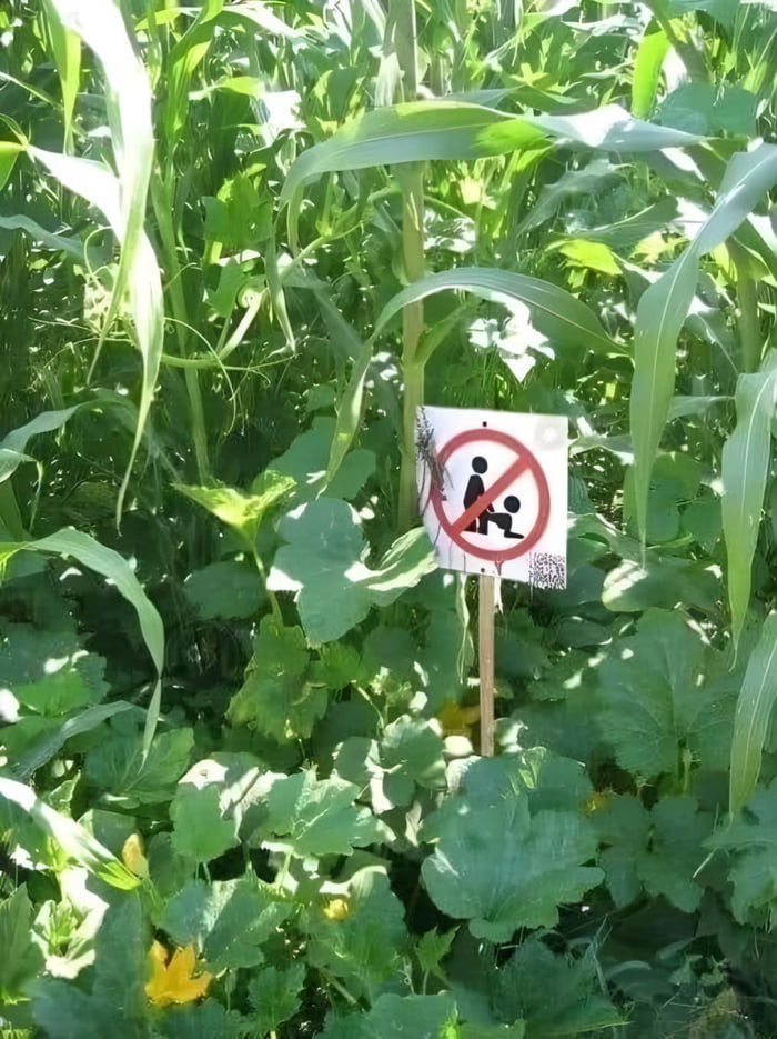 Hm... what do you think when I see the sign. - 9GAG