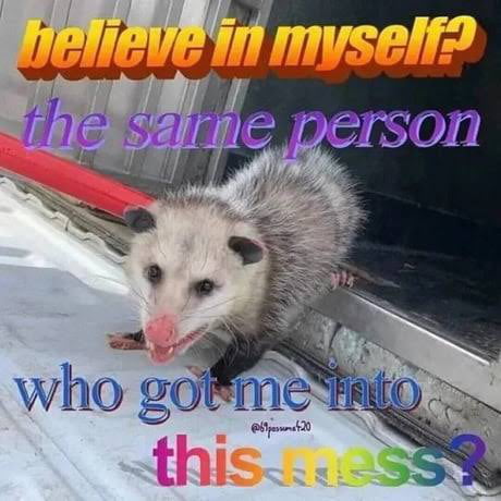 Show me your best possum meme - 9GAG